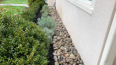 Landscape And Yard Drainage Experts | Terren Landscapes