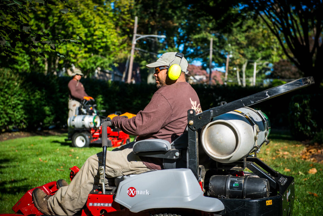 Landscape Maintenance 101: Standard Services | Terren Landscapes